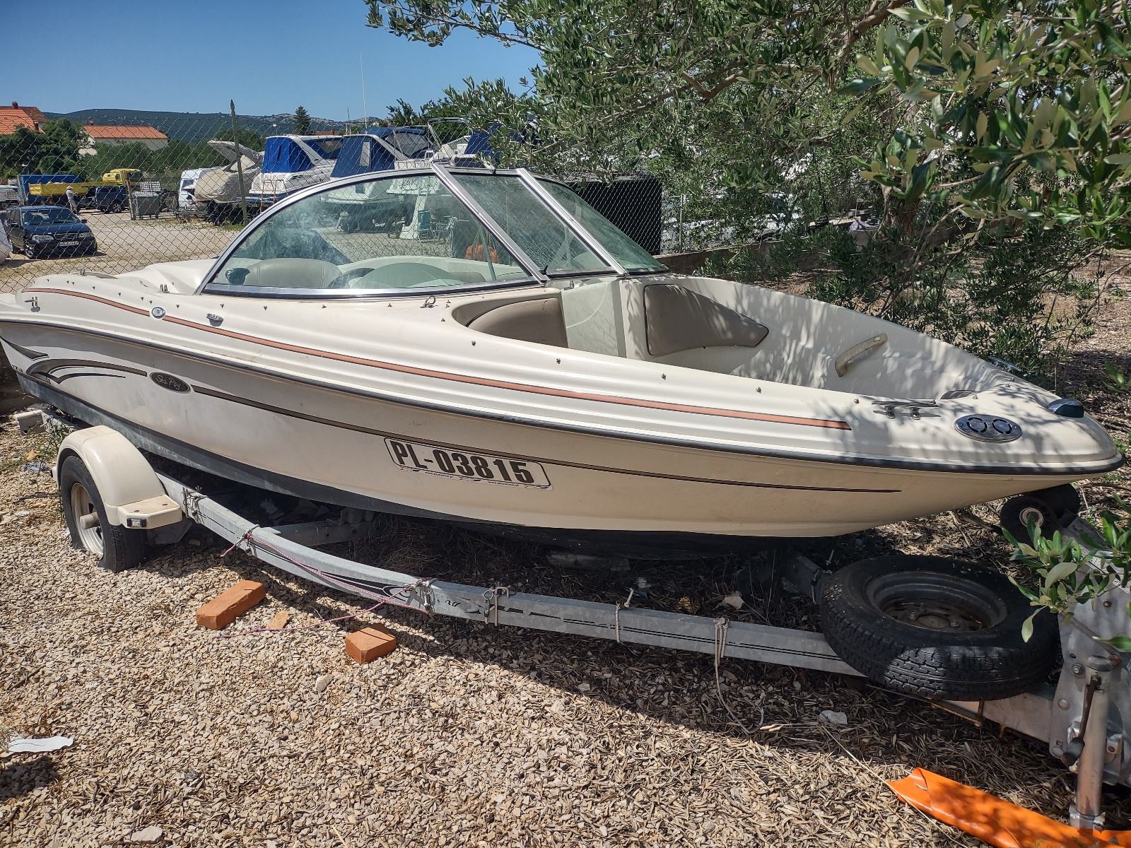 Sea Ray 176 + trailer