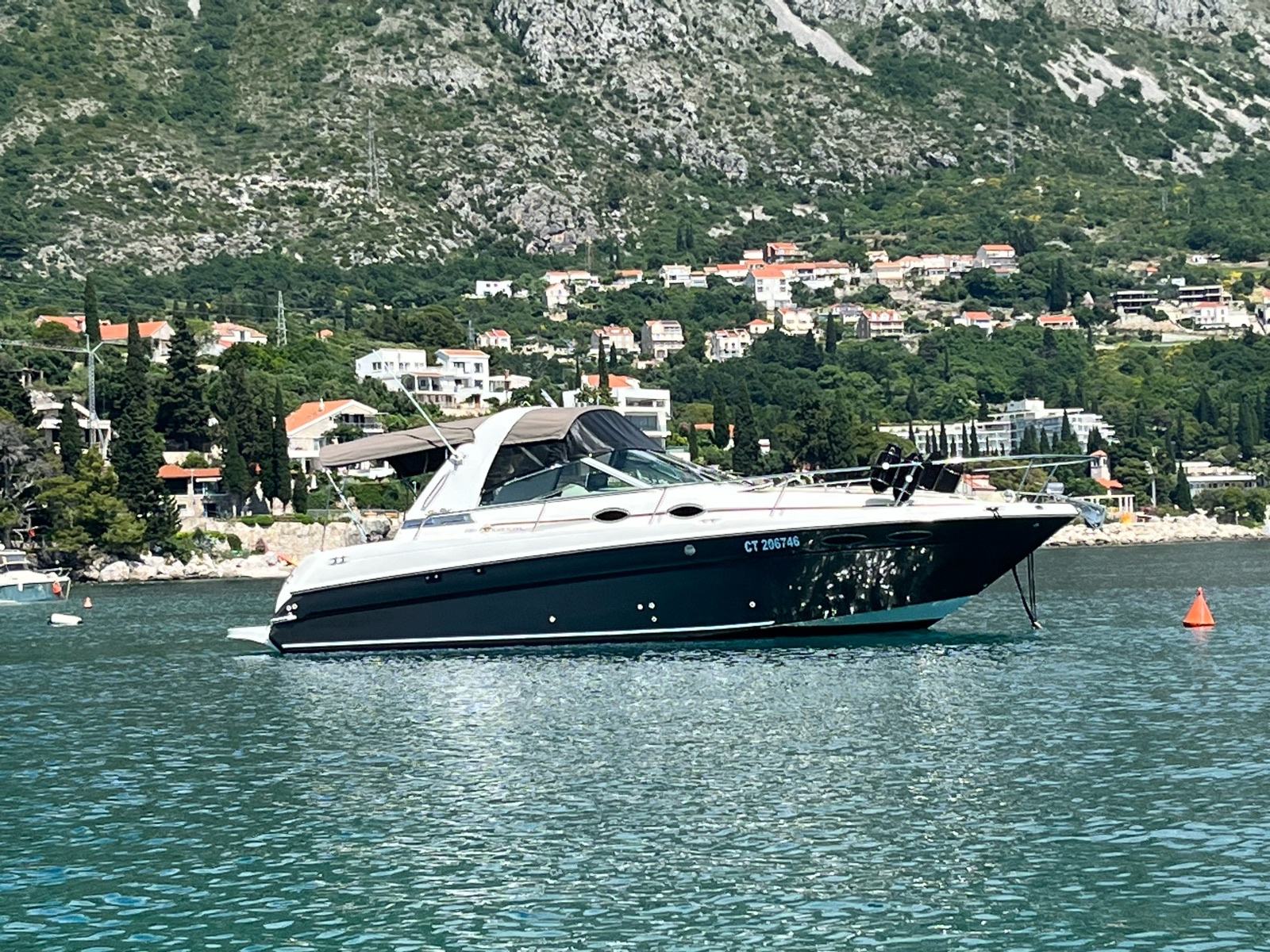 Sea ray 290
