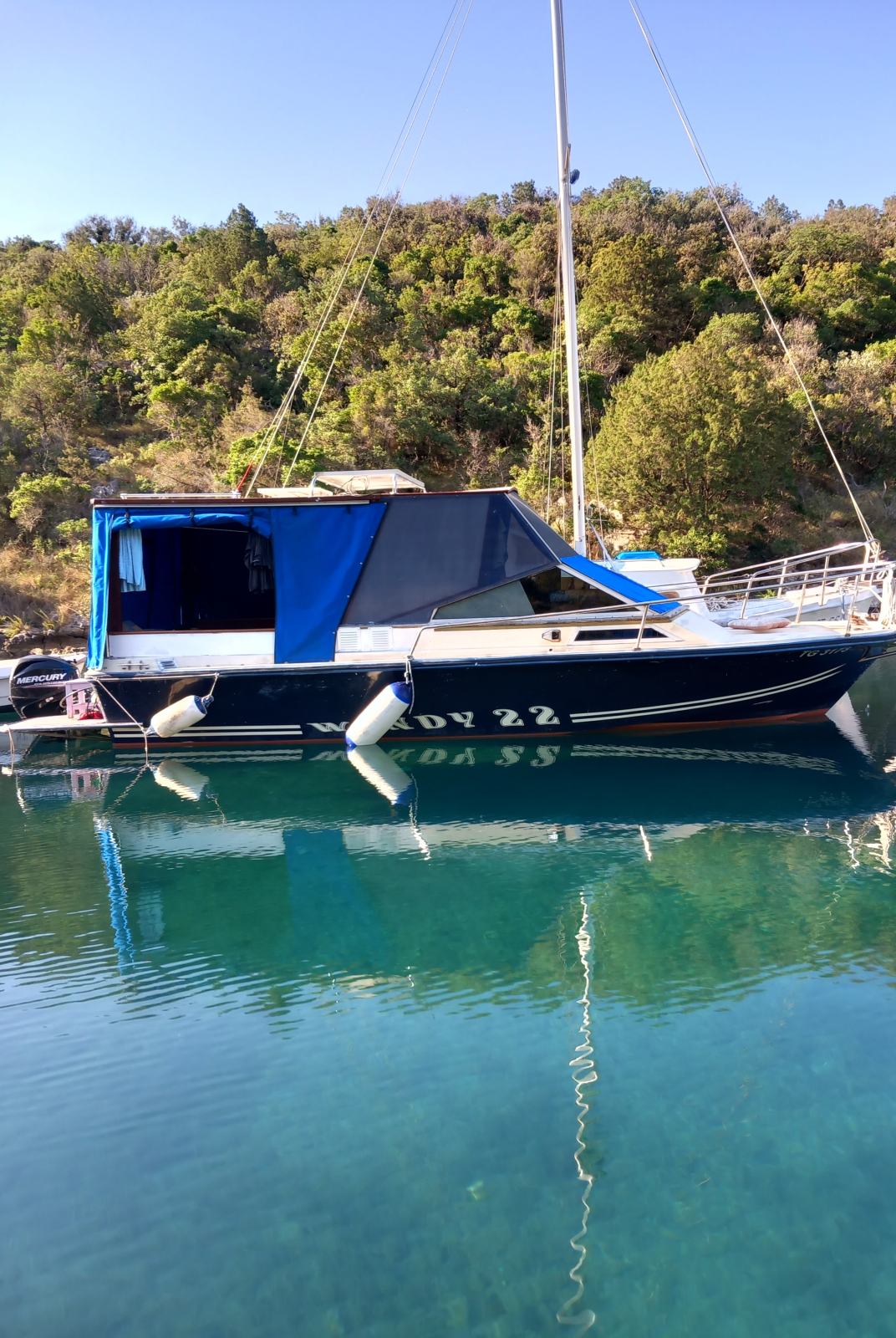 Windy 22 - 30HP - Mercury