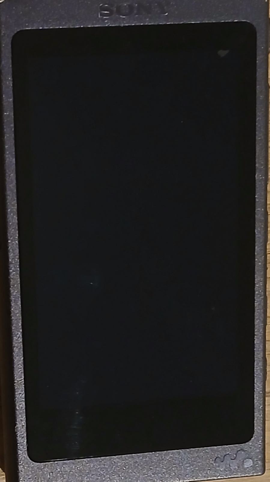 SONY Walkman FLAC/MP3/MP4/Radio/Bluetooth player NW-A35 (16GB)