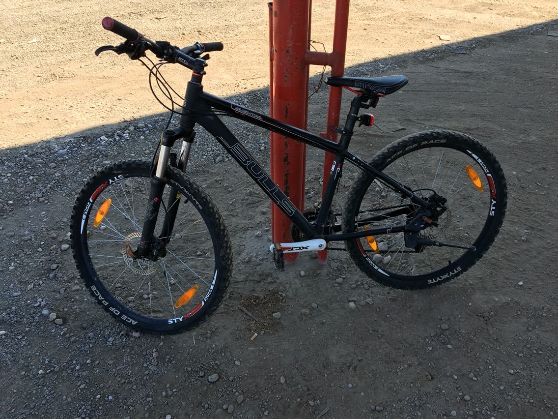 Bulls Bushtail 42 cm rama