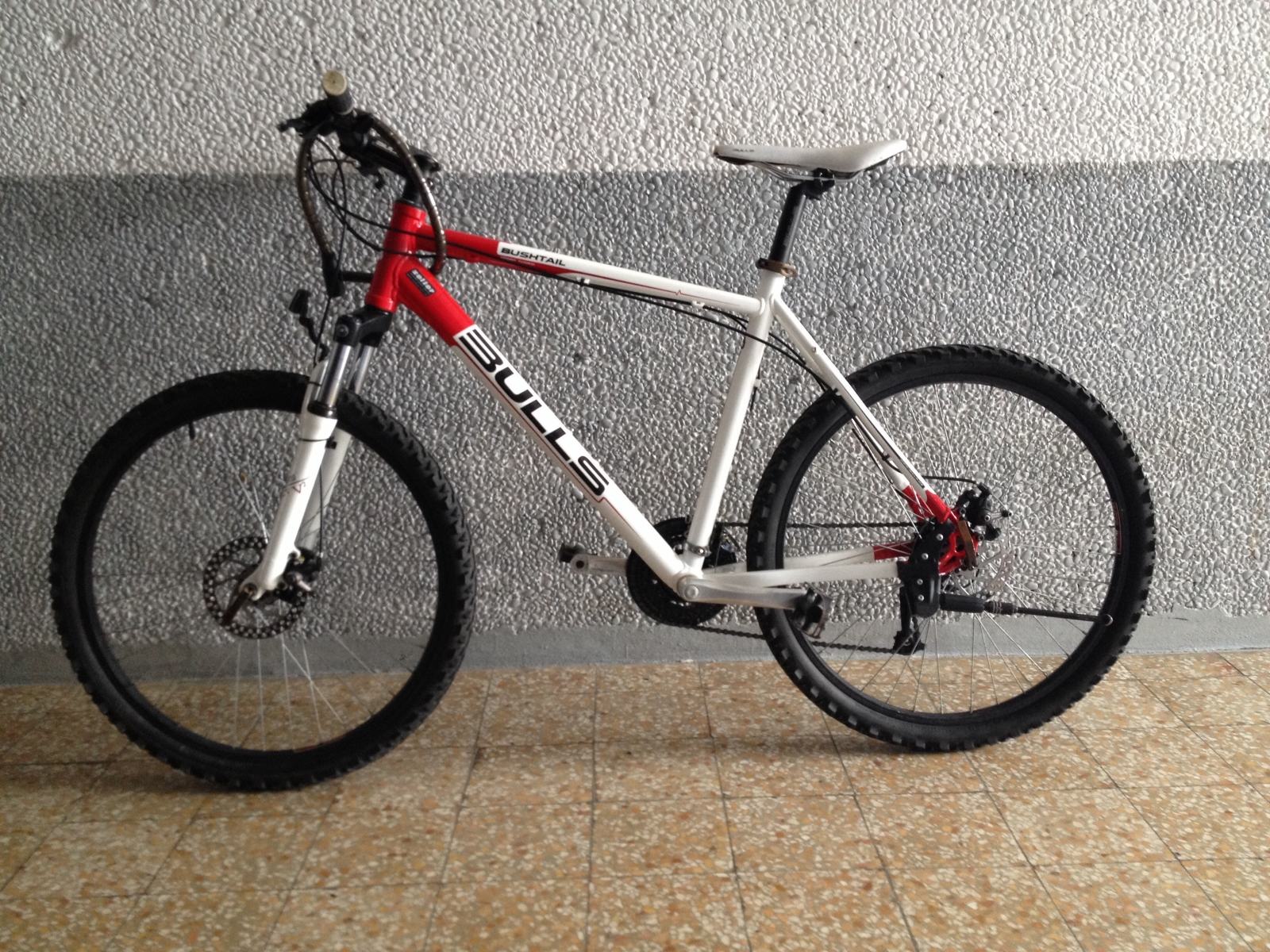 Bulls bushtail hitno