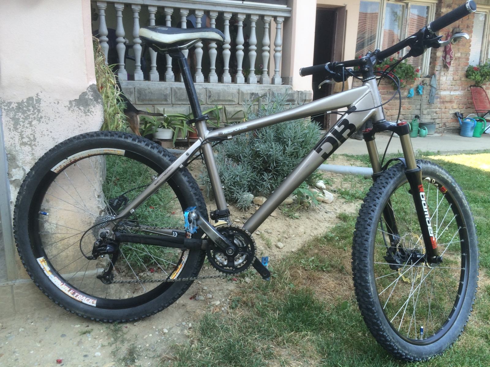 Diamondback response