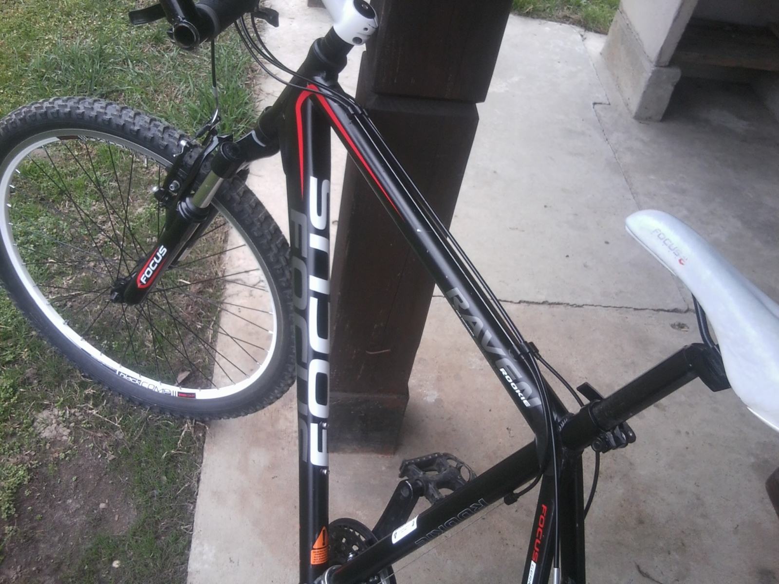 Focus Raven Rookie..