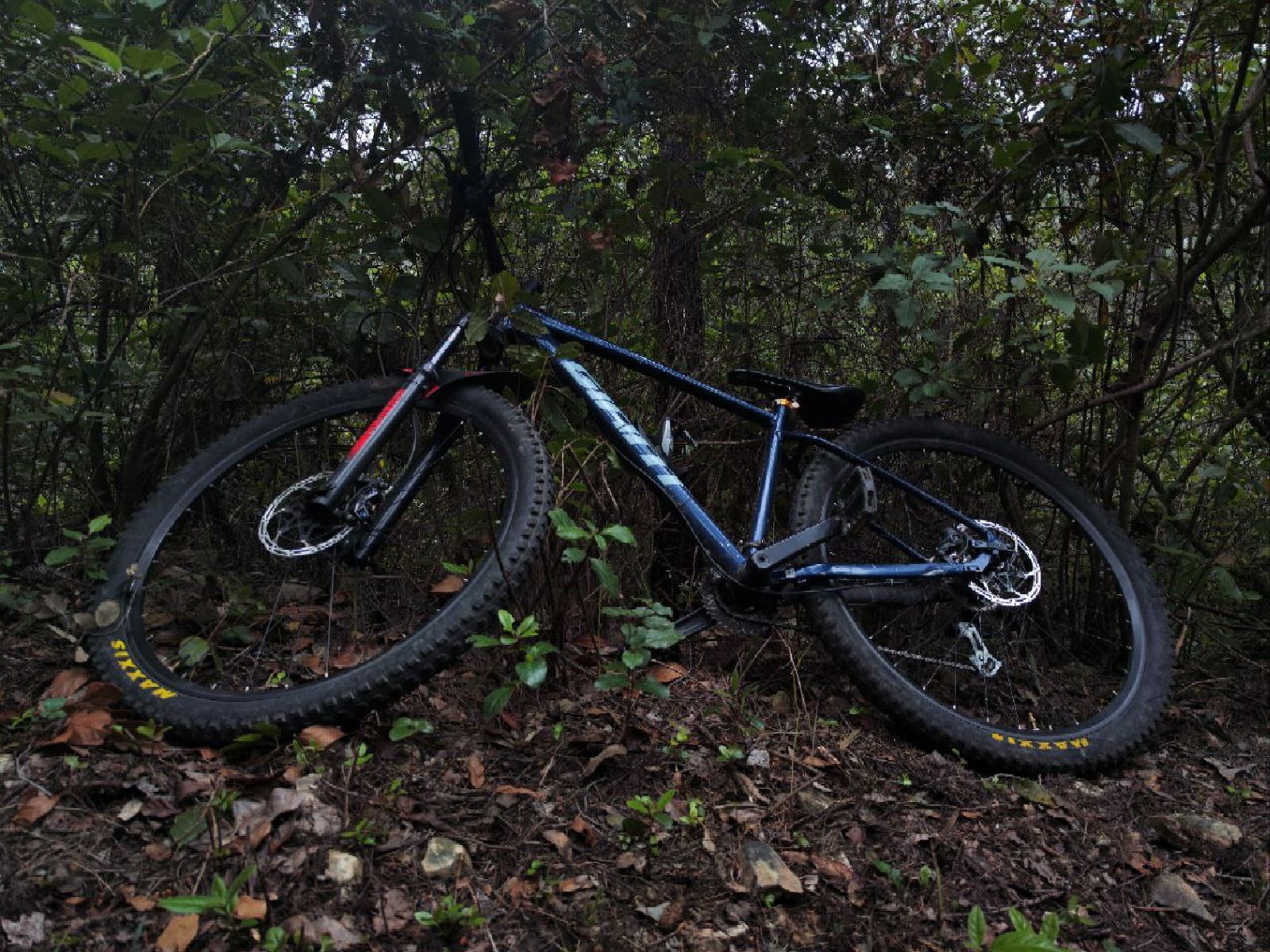 Giant Talon 5 2022 Navy Blue Custom