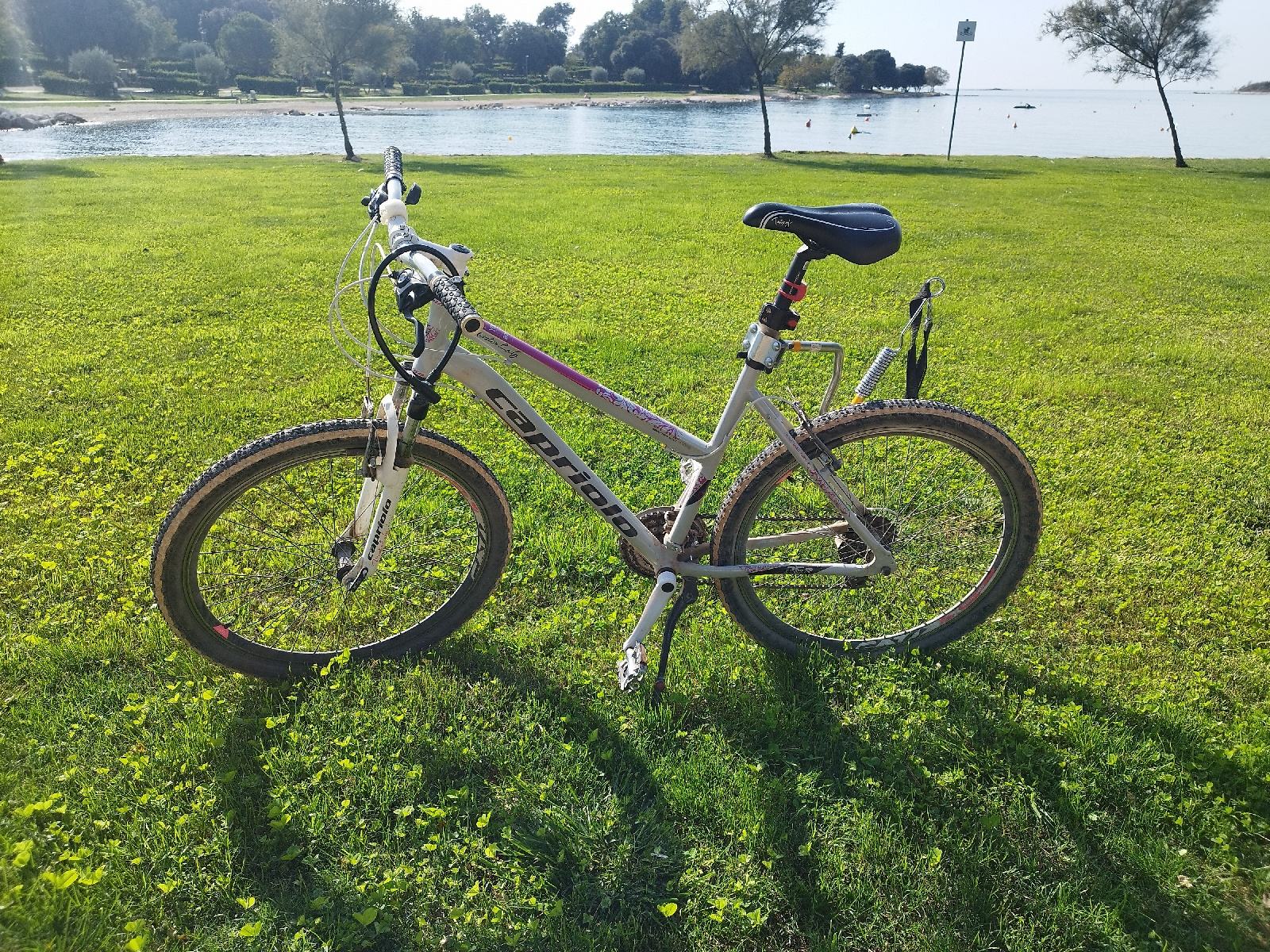 Mtb capriolo monitor lady