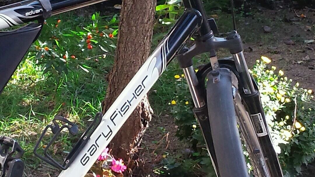 MTB Gary Fisher