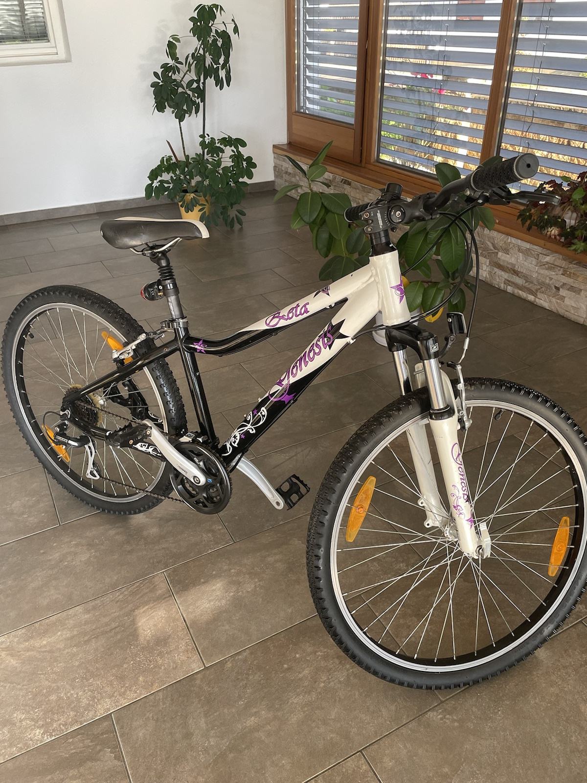 MTB Genesis Zeta 26