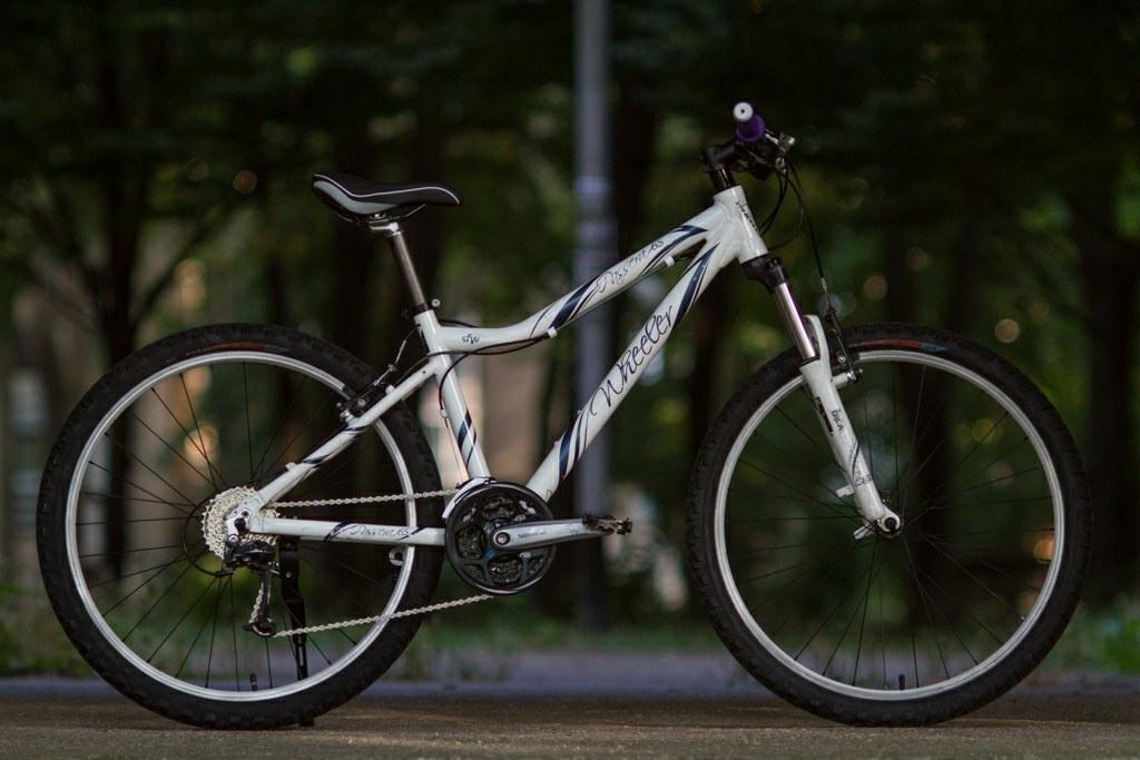 WHEELER PASSERA...ŽENSKI MTB,RAMA M ZA VISINU 145-170 CM,TOP STANJE!