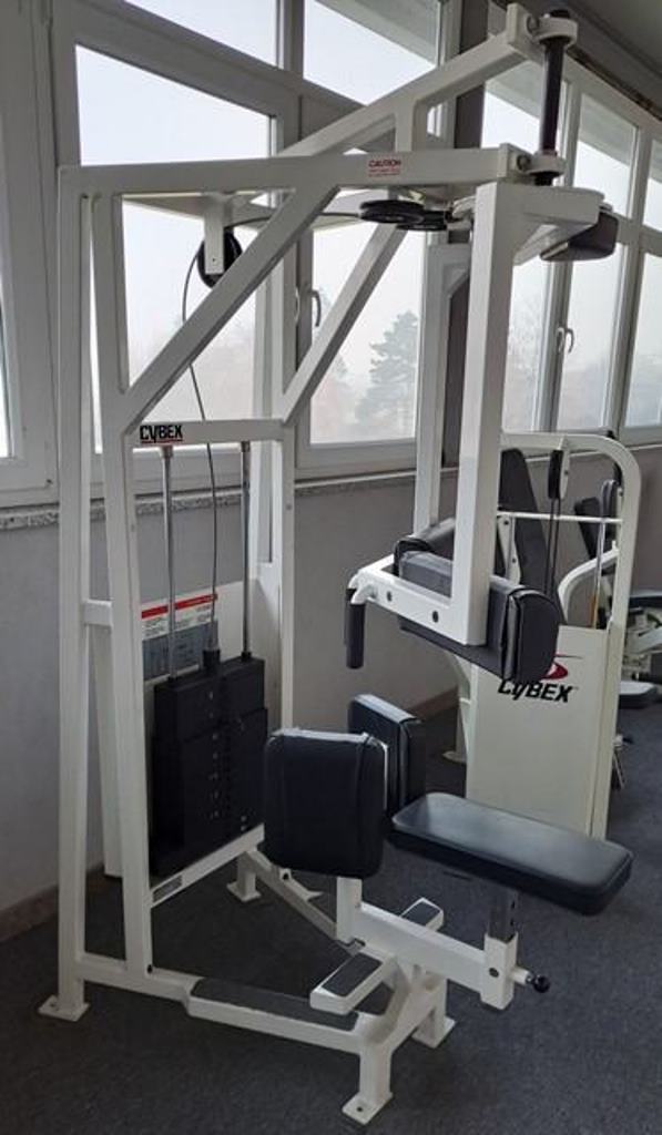 CYBEX ROTARY TORSO
