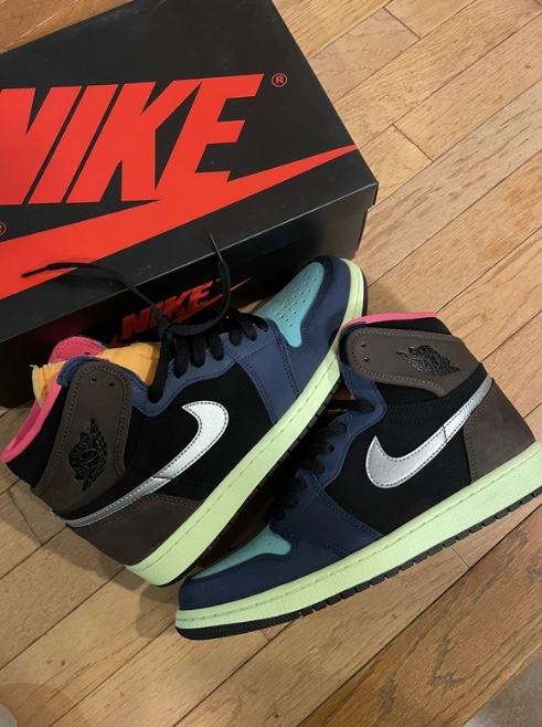 Nike Jordan 1 Bio Hack