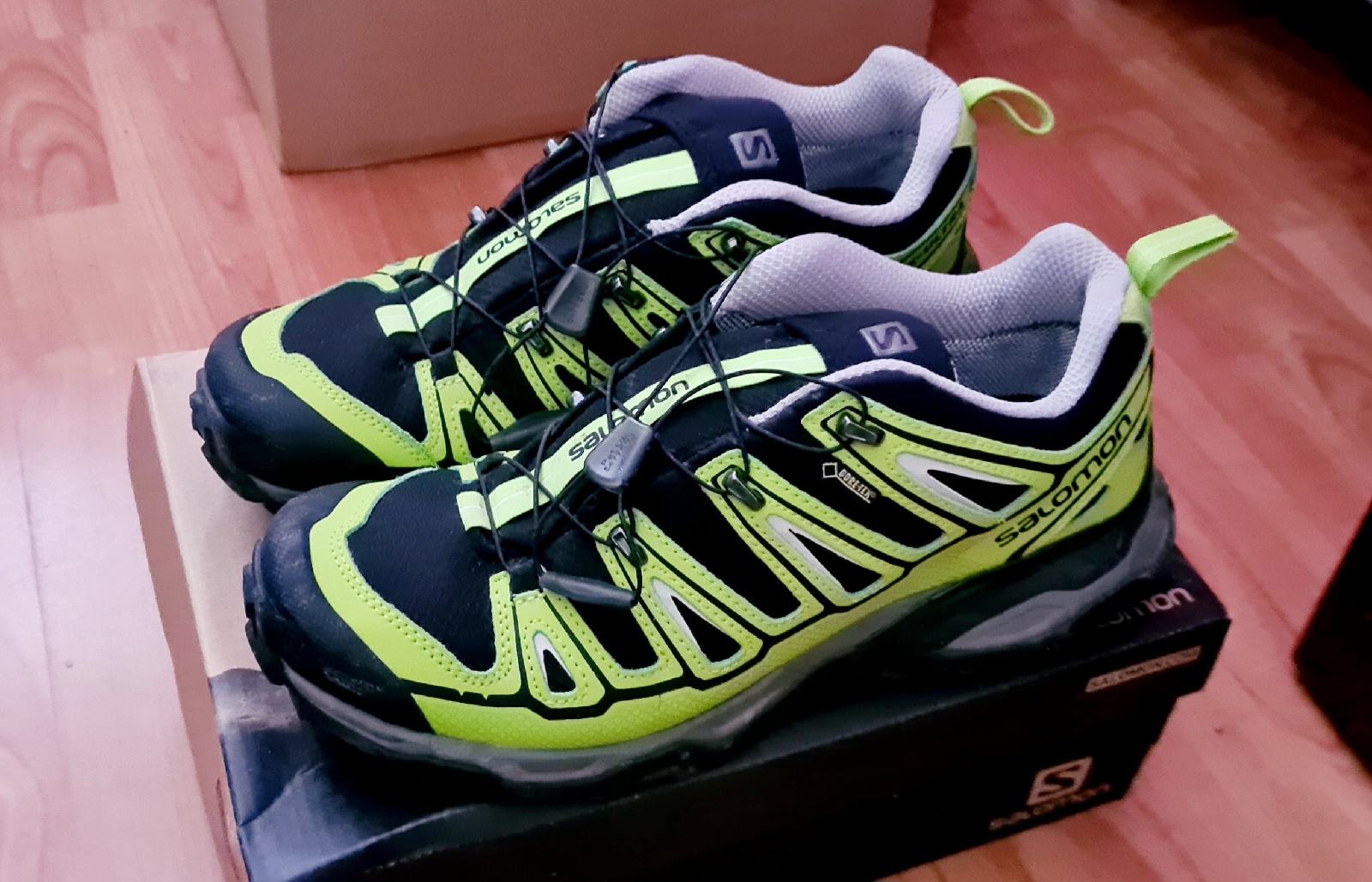 Salomon X Ultra 2 GTX