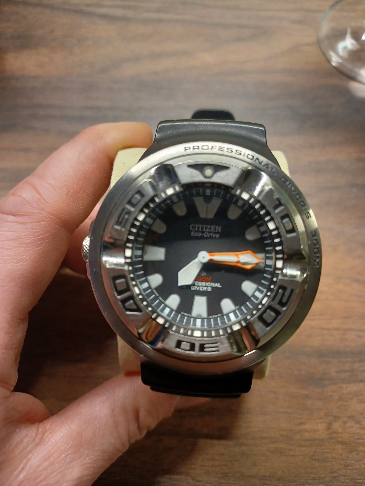 citizen promaster ecozilla