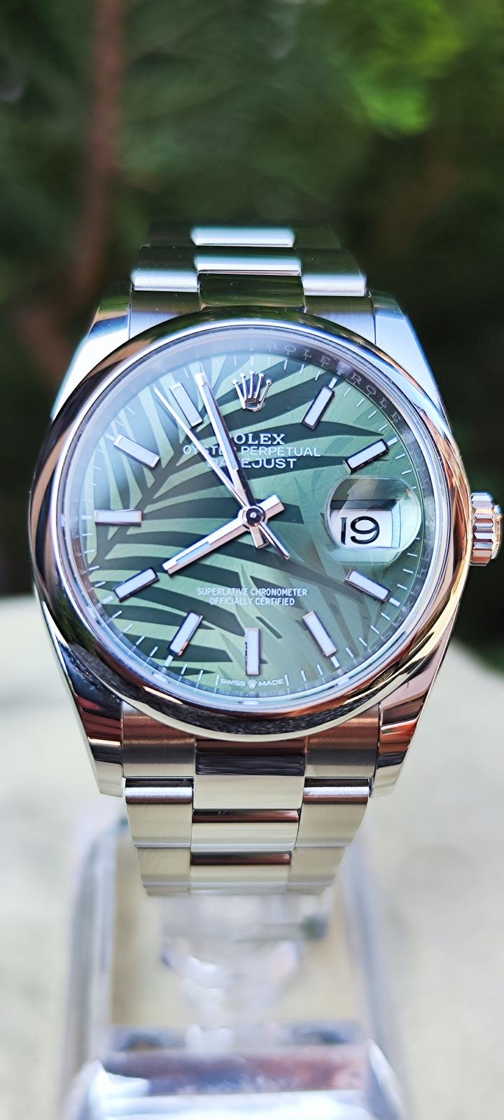 Rolex Datejust 36 PALM LEAF