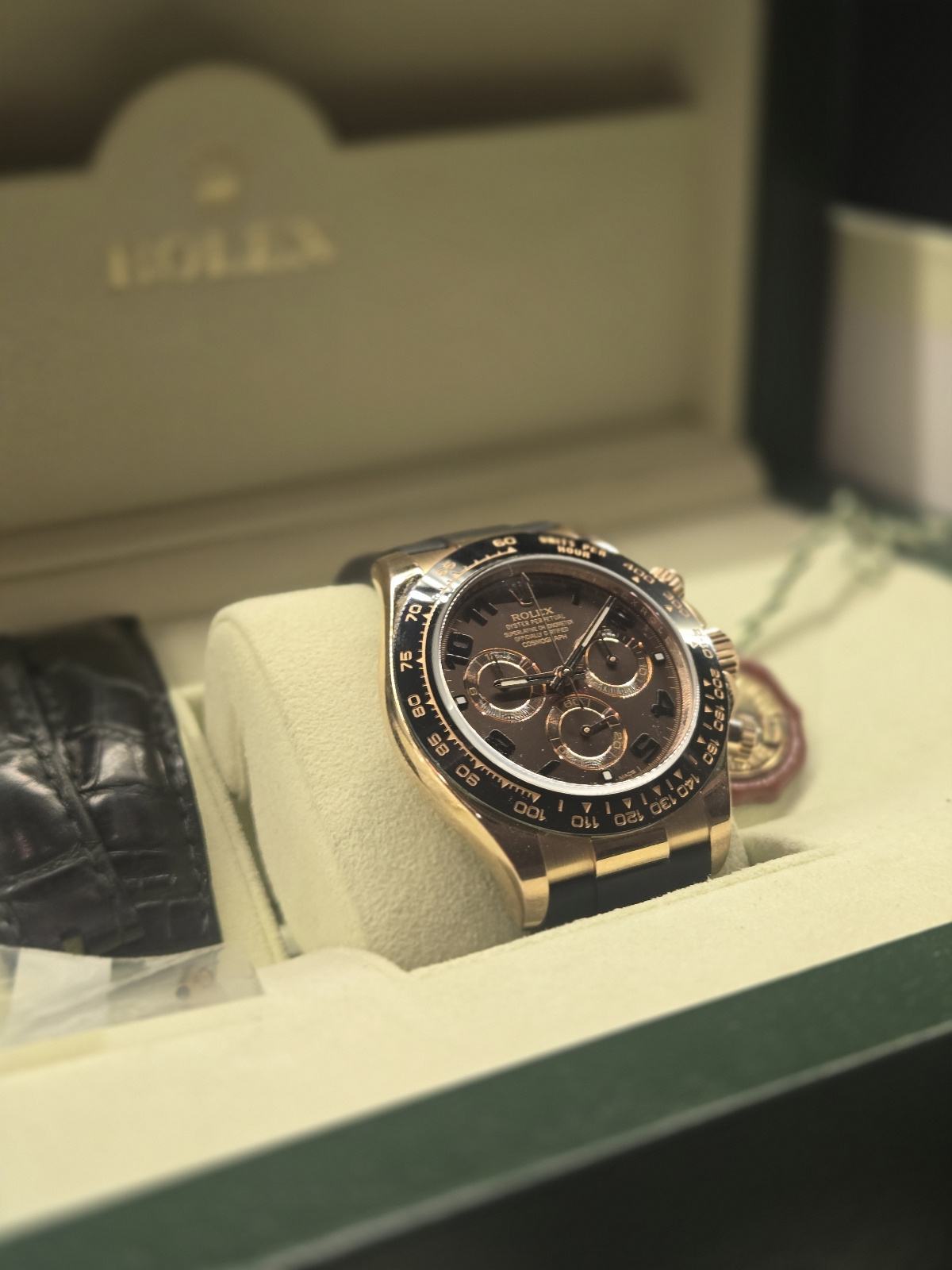 Rolex Daytona Choco Dial