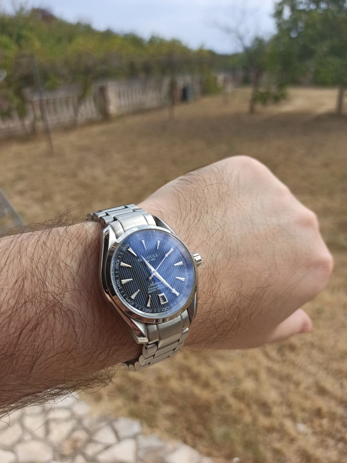 Sea-gull Aqua Terra - rijedak Omega homage