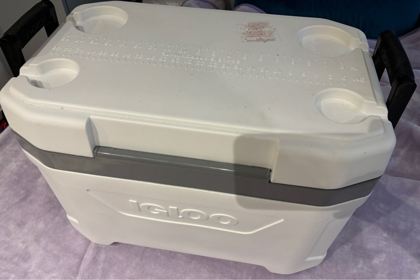 Ledenica Igloo 51 l
