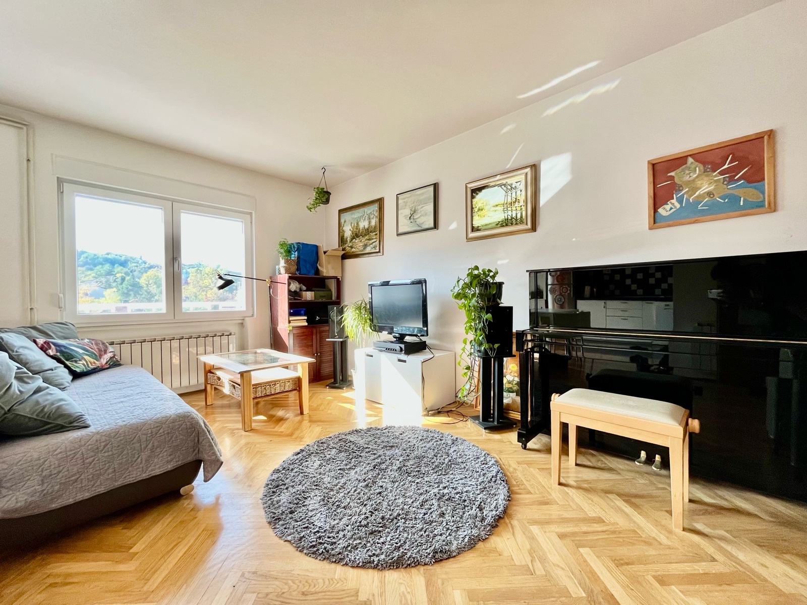 Novoadaptirani 3-s stan 70 m2, odlična lokacija, Mlinovi (prodaja)