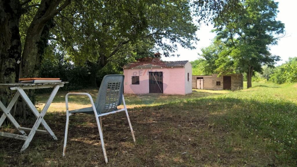 Baderna, Imanje, 30 500m2 (prodaja)