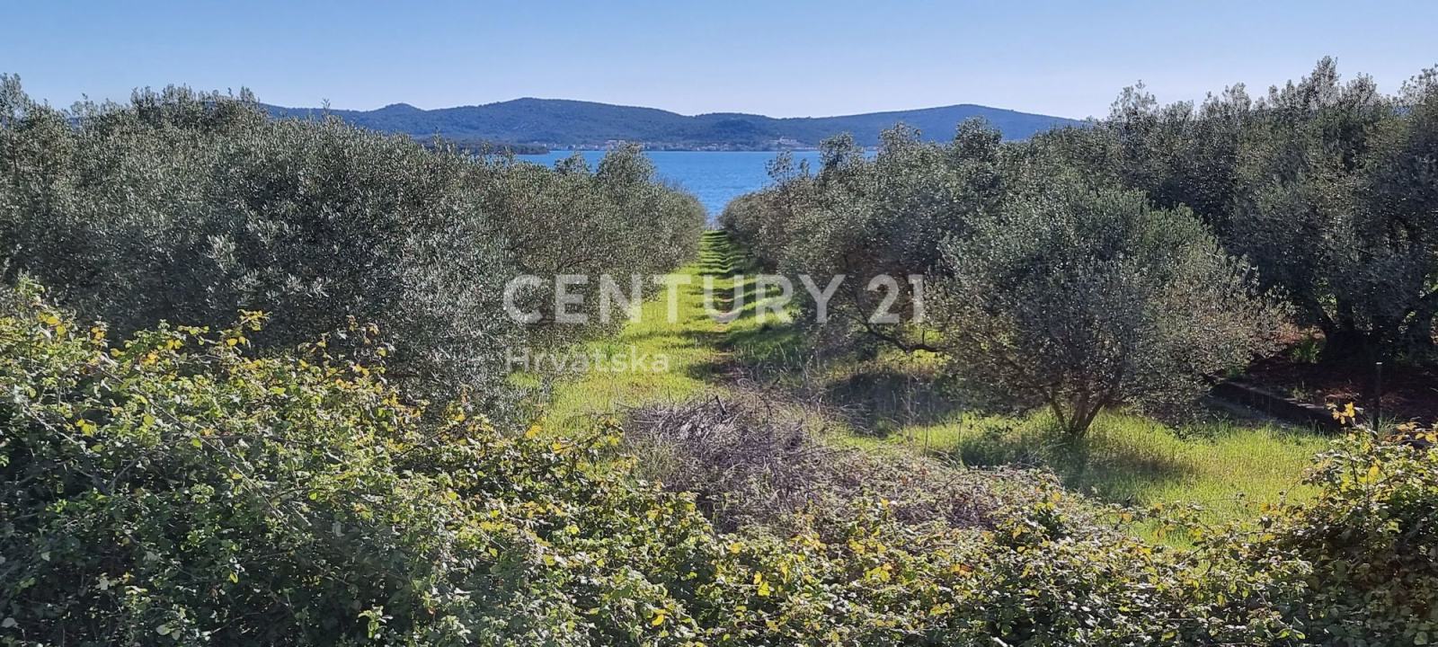 Biograd na Moru Maslinik na prestižnoj lokaciji