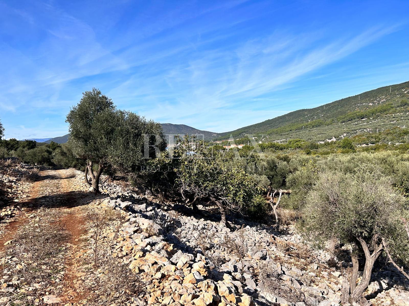 Cres - maslinik na vrhunskoj lokaciji
