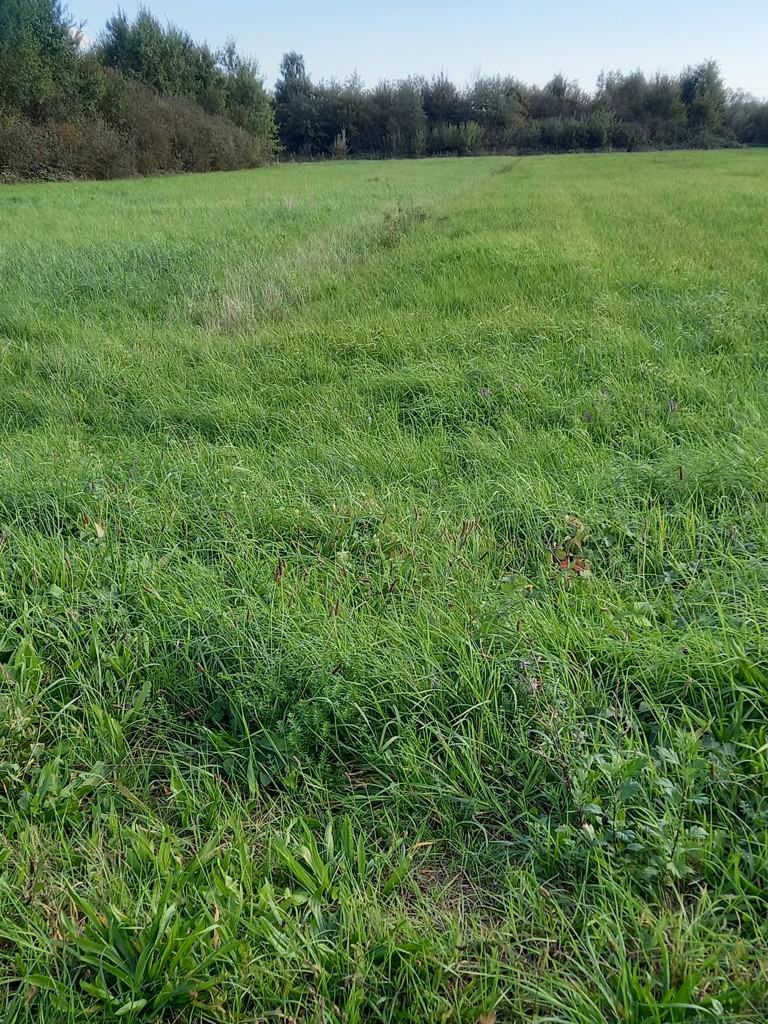 Dugo Selo, 7 nadzemnih etaža, građ. zemljište Kopčevec