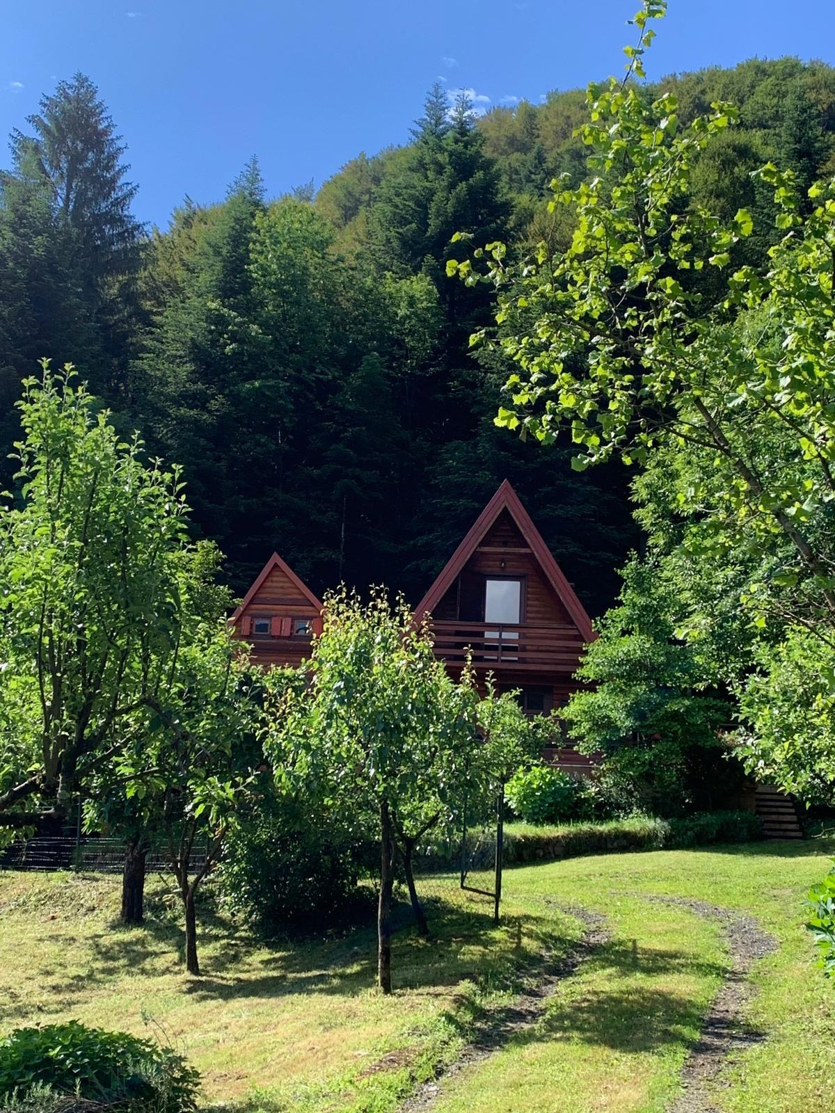 Dvije kuće na rijeci s zemljištem 2319m2 i plažom, Brod na Kupi (prodaja)