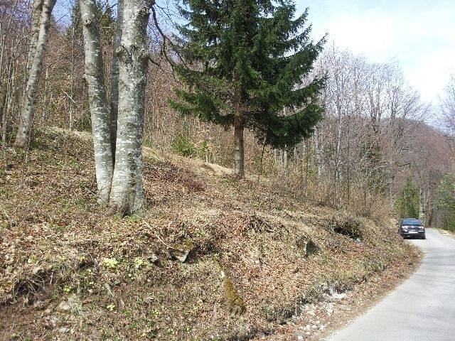 Gorski kotar zemljište