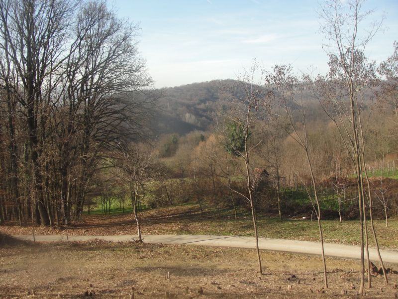 Građ. zemlj., D. Laduč, 2520 m2 - POGLED - MIR - PRIRODA