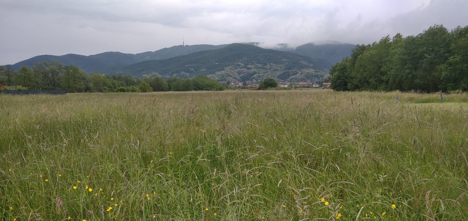 Građevinsko zemljište, Donja Bistra, 2447 m2