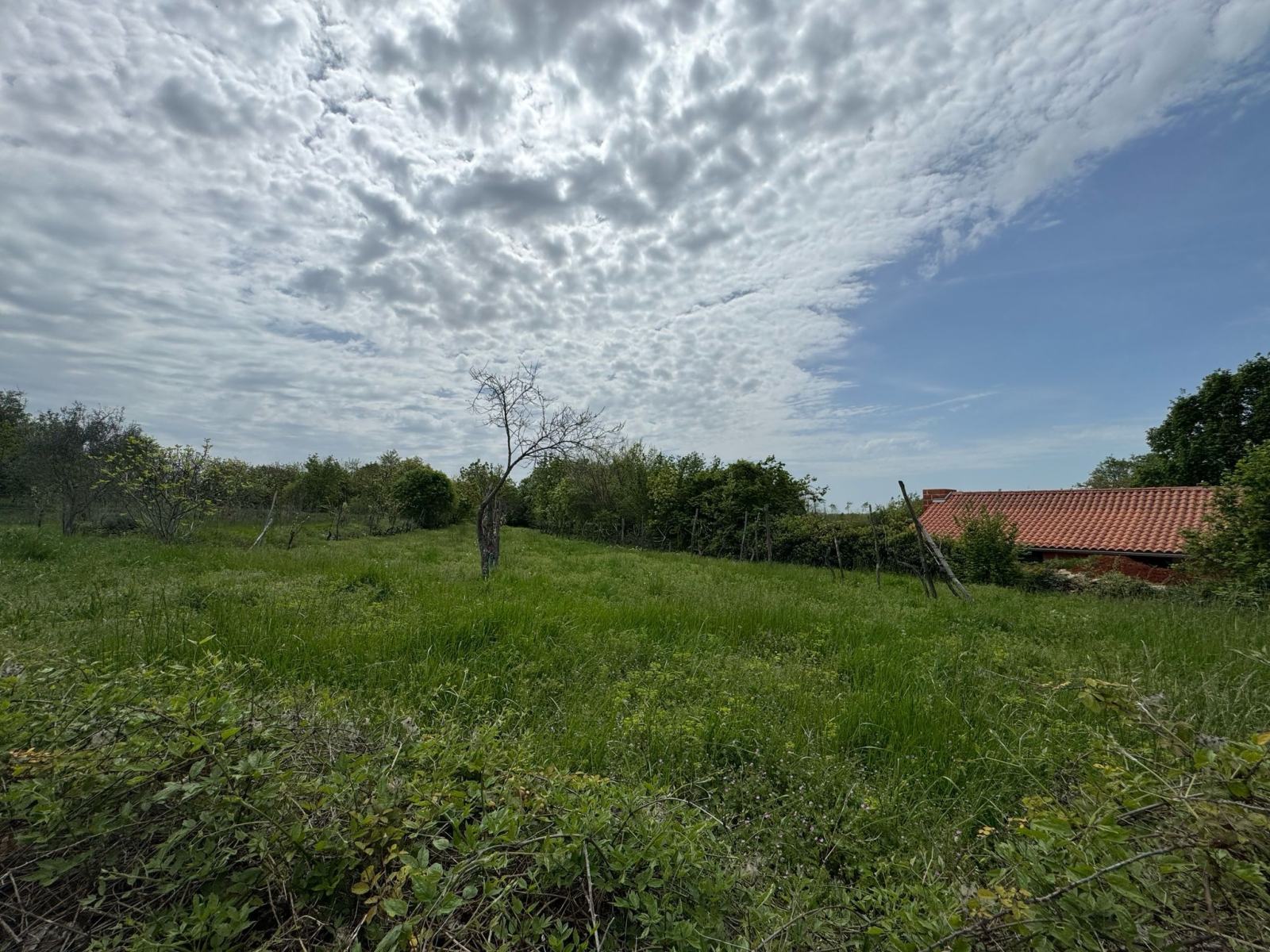 GRAĐEVINSKO ZEMLJIŠTE NA PRODAJU – NEDALEKO LABINA