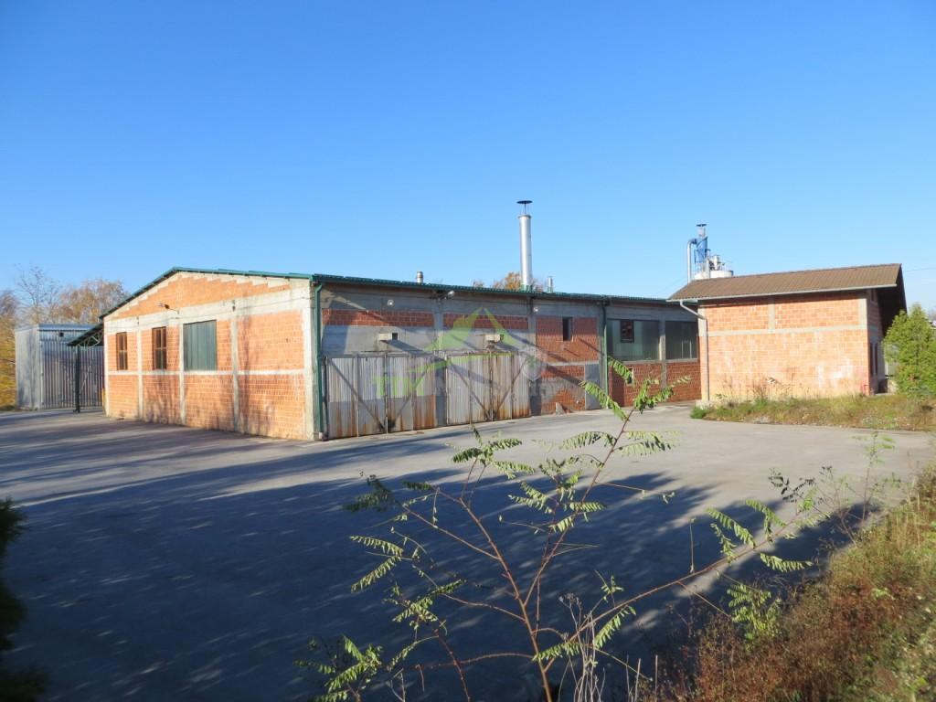 Hala od 1.667 m2 sa 8.700 m2 zemljišta! (prodaja)