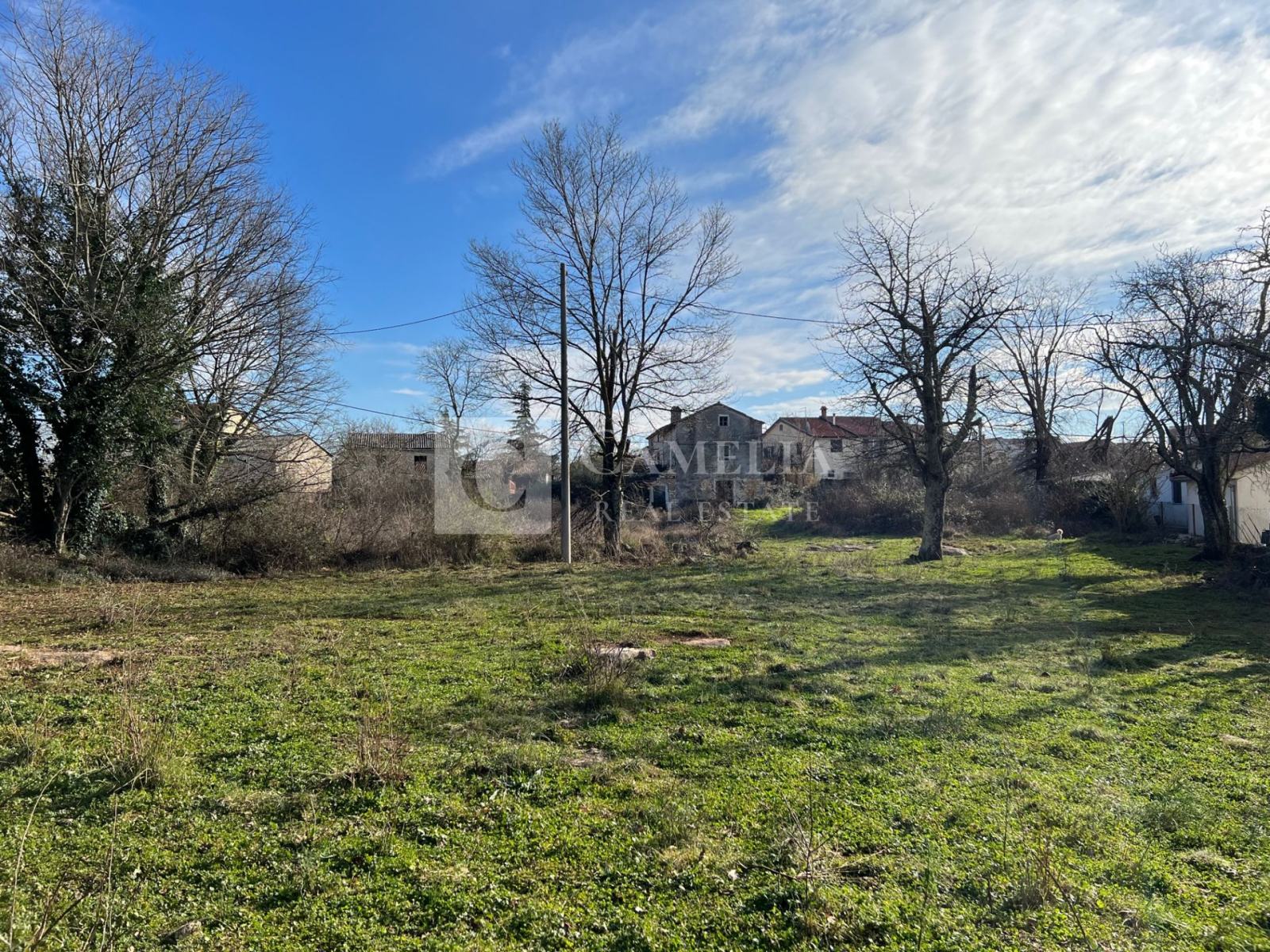 Istra Baderna okolica građevinsko zemljište 3900m2