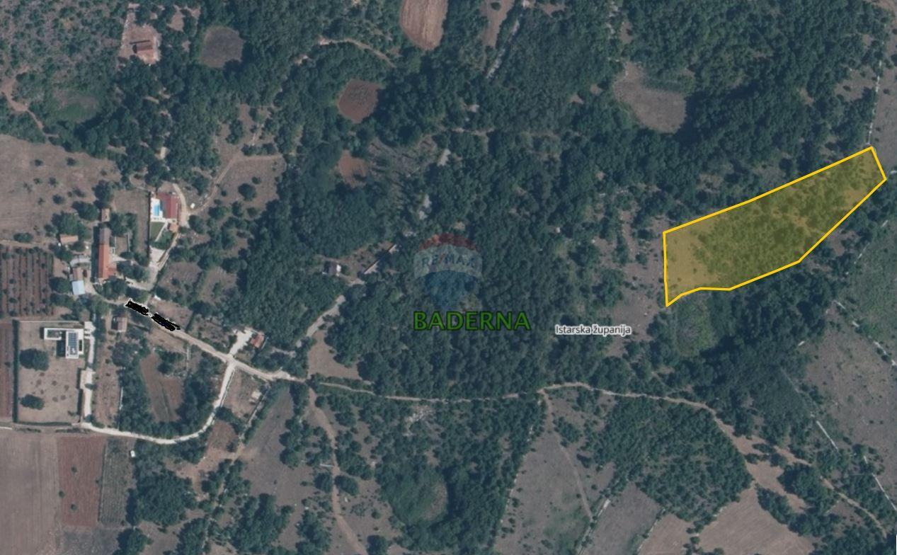 Istra, Baderna - pašnjak 8421 m2