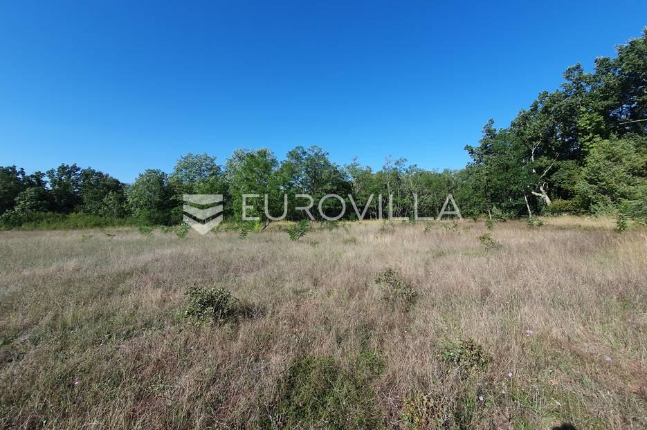 Istra, Baderna, poljoprivredno zemljište 12.120m2