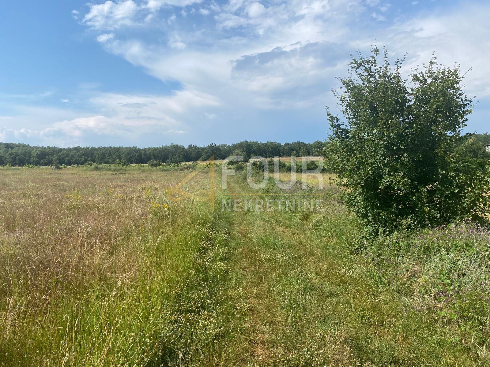 Istra, Baderna, poljoprivredno zemljište 53.691m2