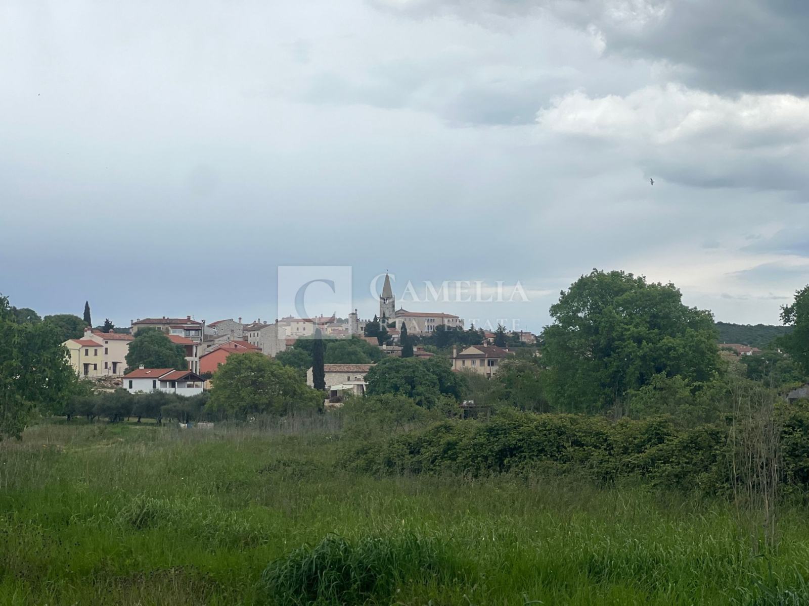 Istra Bale nekretnina velikog potencijala! (prodaja)