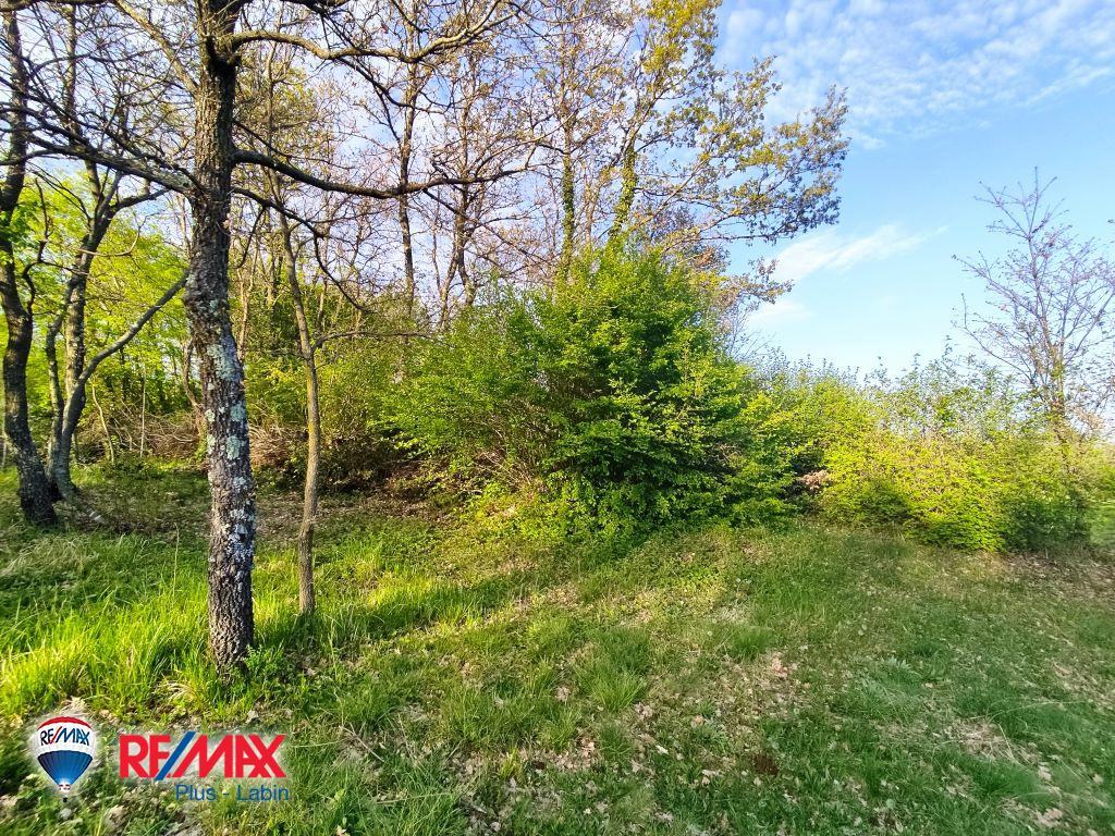 ISTRA,BARBAN, OKOLICA, ZEMLJIŠTE TURISTIČKE NAMJENE