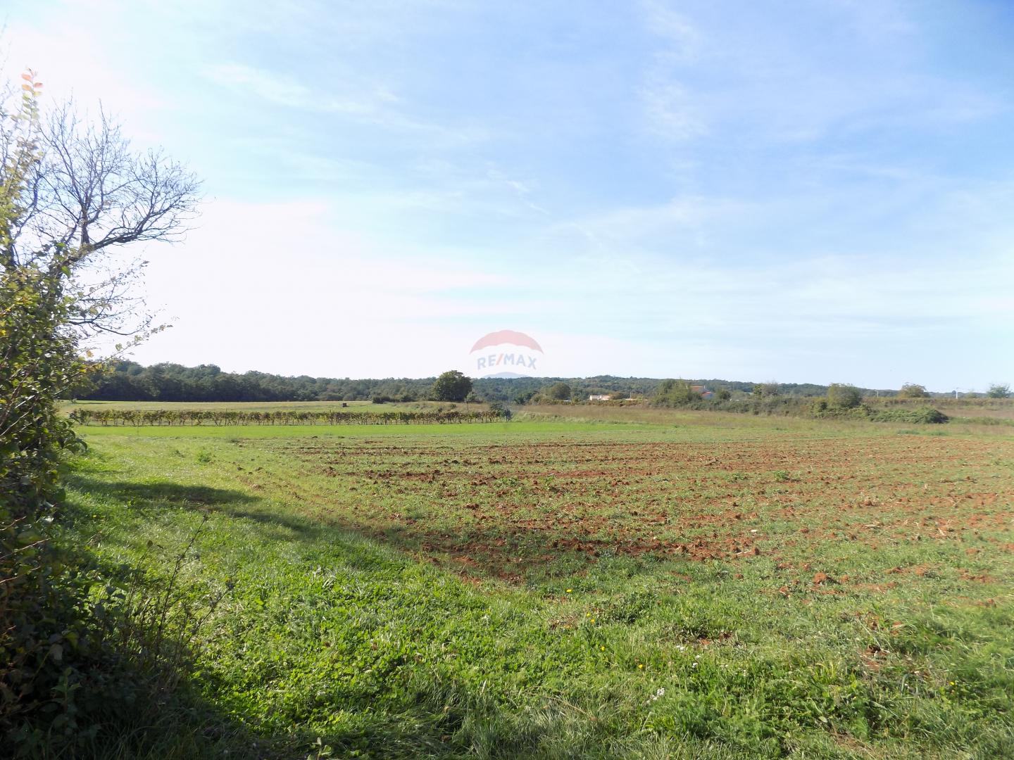 ISTRA, BARBAN - Povoljno poljoprivredno zemljište