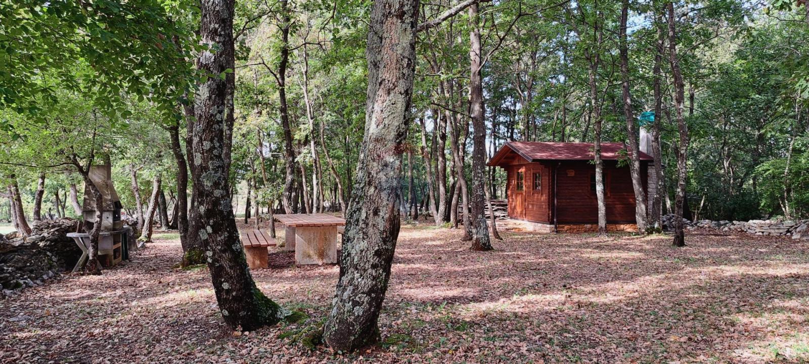 Istra, Butkovići - vikendica na poljoprivrednom zemljištu od 7600 m2
