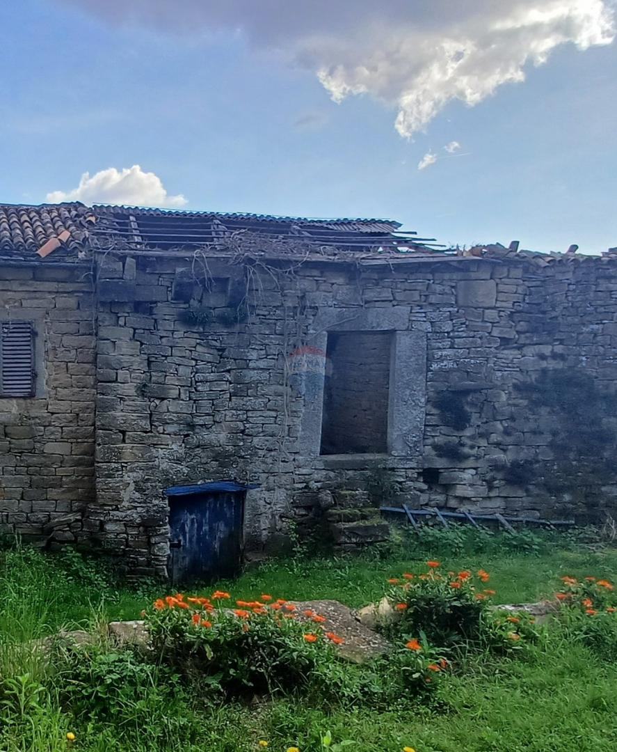 Istra, Momjan - autohtona starina (prodaja)