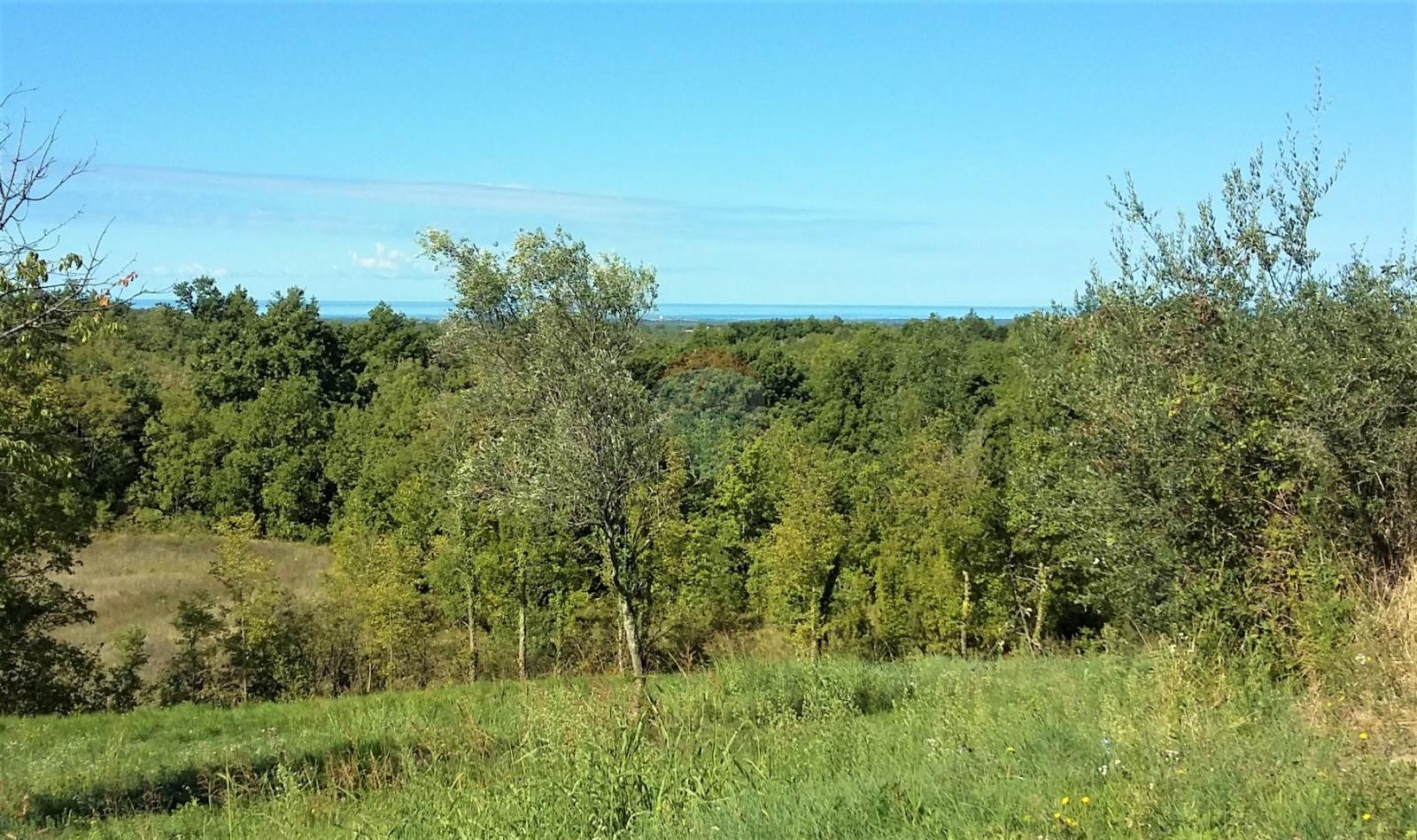 Istra - Momjan (Buje), atraktivna parcela s pogledom na more