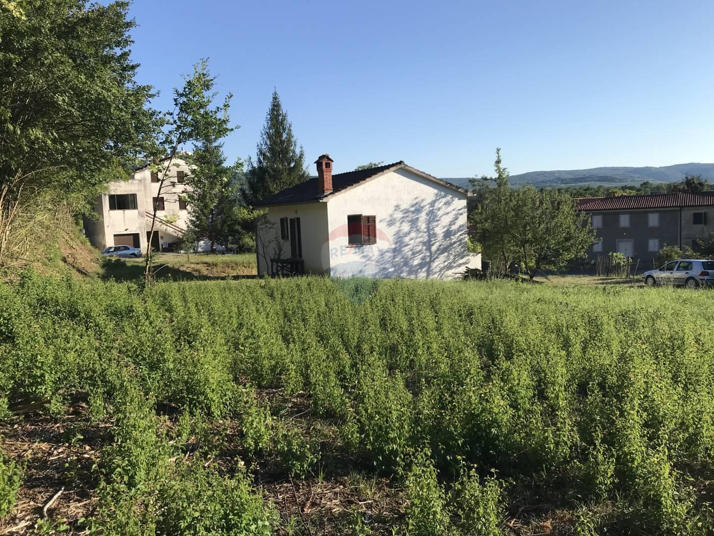 Istra, Oprtalj; Livade, samostojeća kuća na velikoj okućnici (prodaja)