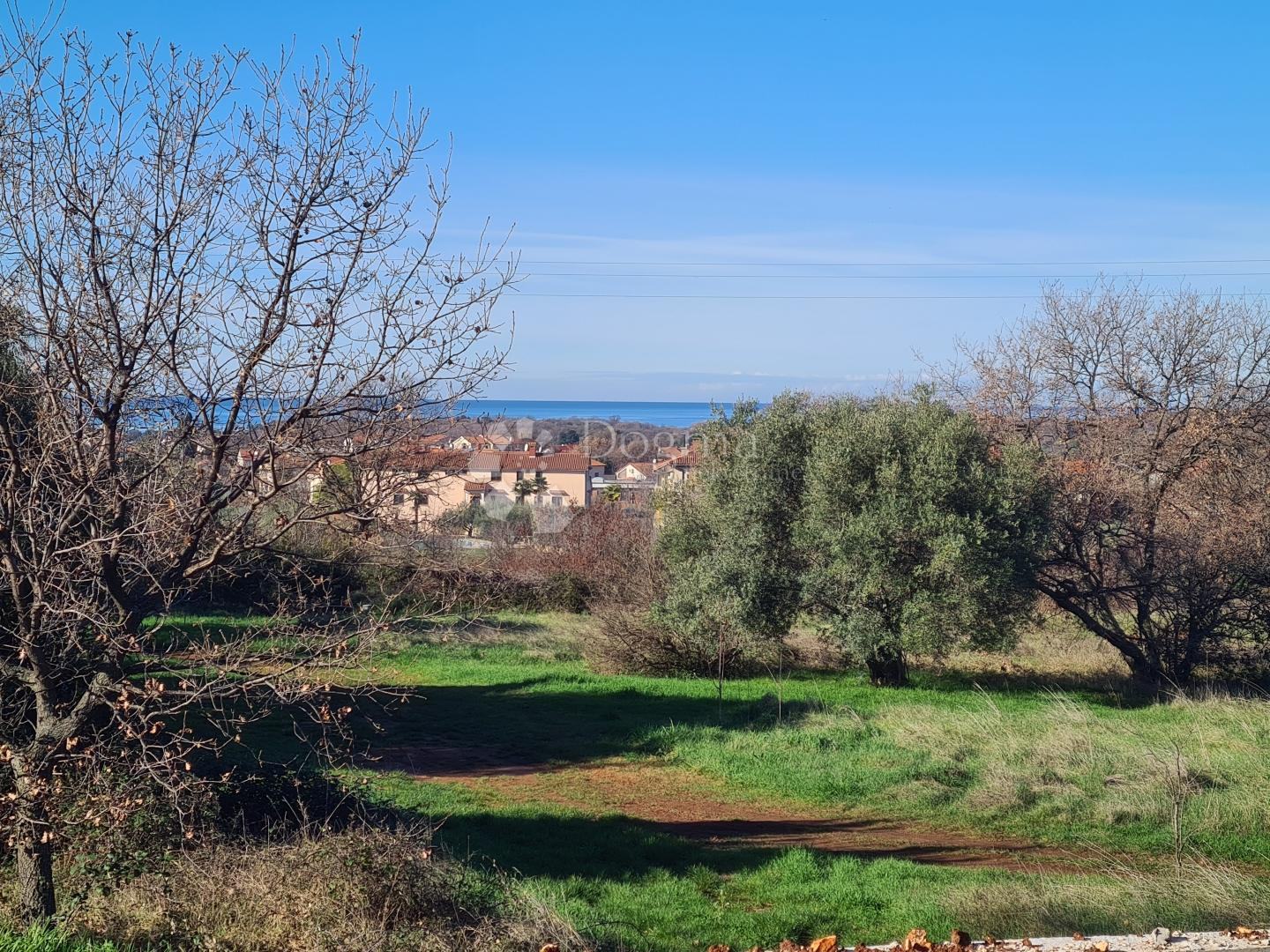 Istra, poljoprivredna parcela u Lovrečkom polju