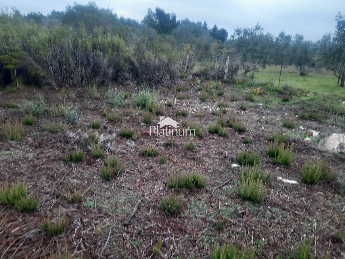 Istra,Pomer poljoprivredno zemljište