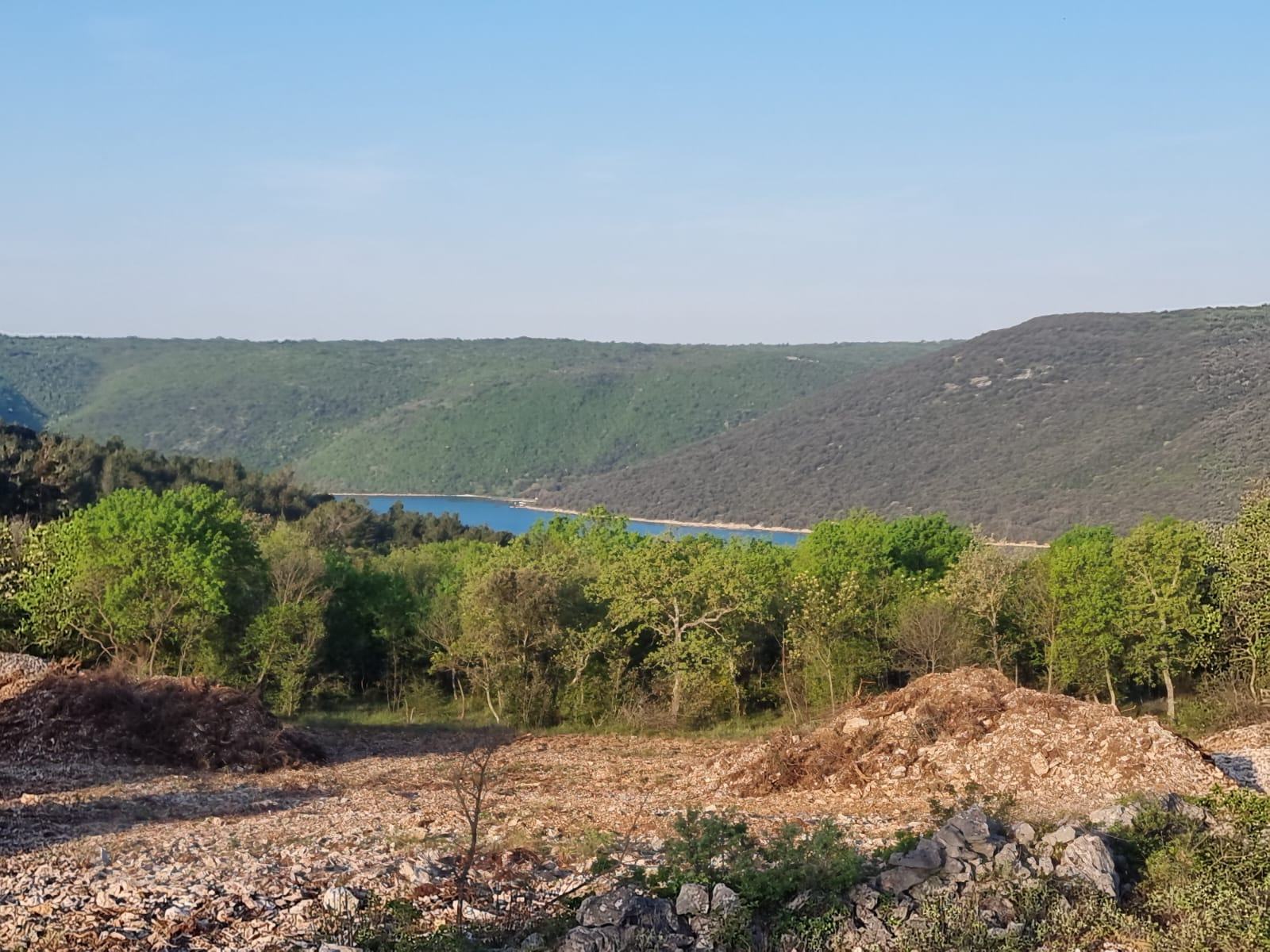 Istra, Trget, građevinsko zemljište 11000 m2, pogled na more!!