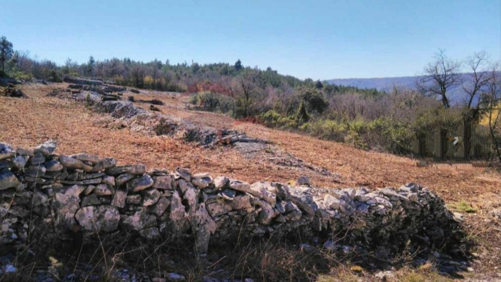 Istra, Trget - poljoprivredno zemljište