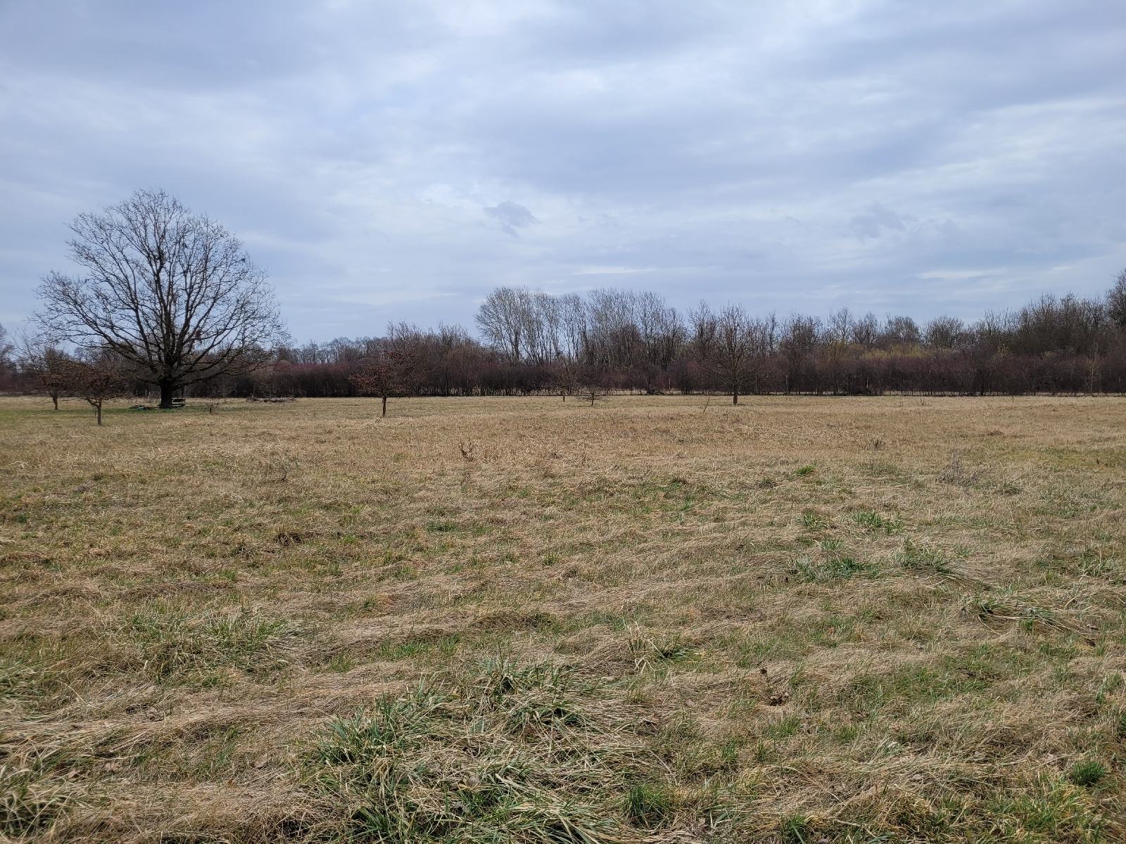 IVANJA REKA,NEPOSREDNA BLIZINA LESNINE,10.000 m2,GRAĐ.ZEMLJ, ZONA K1