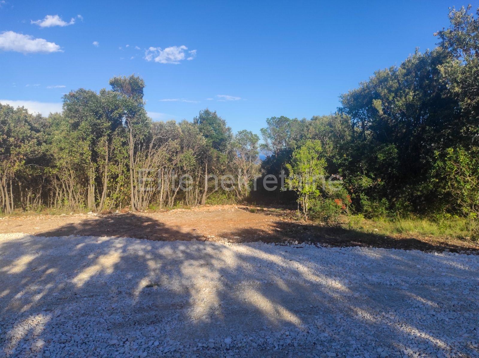 Kavran - šuma, 1.262 m2