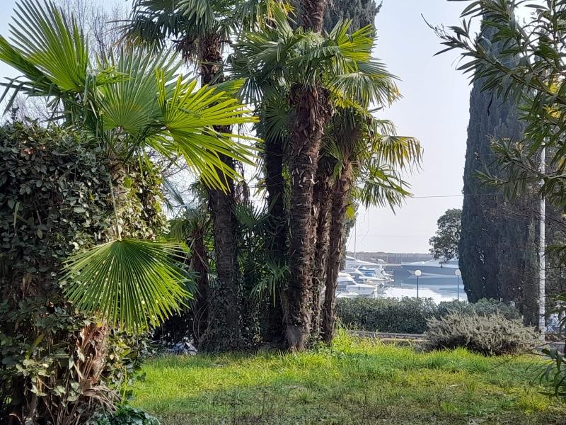 KUCA 1 RED DO MORA, SA 3 STANA!! (prodaja)